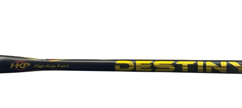 Destiny Speed – Pro Kennex